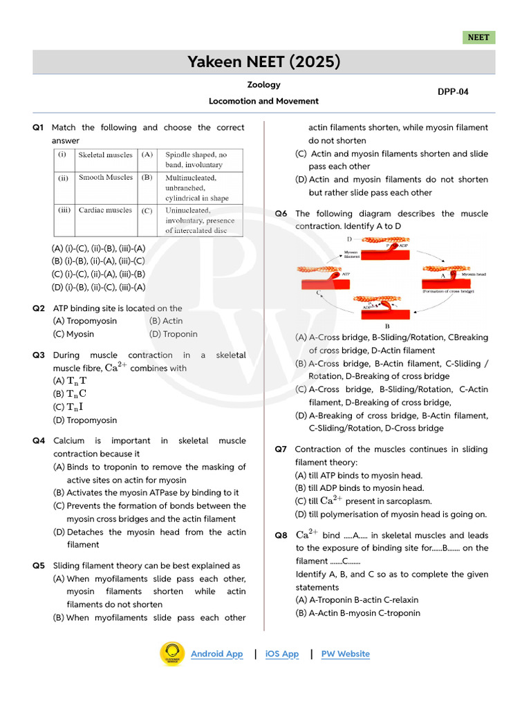 Locomotion and Movement - DPP 04 - Yakeen NEET 2025 PDF | PDF | Muscle ...