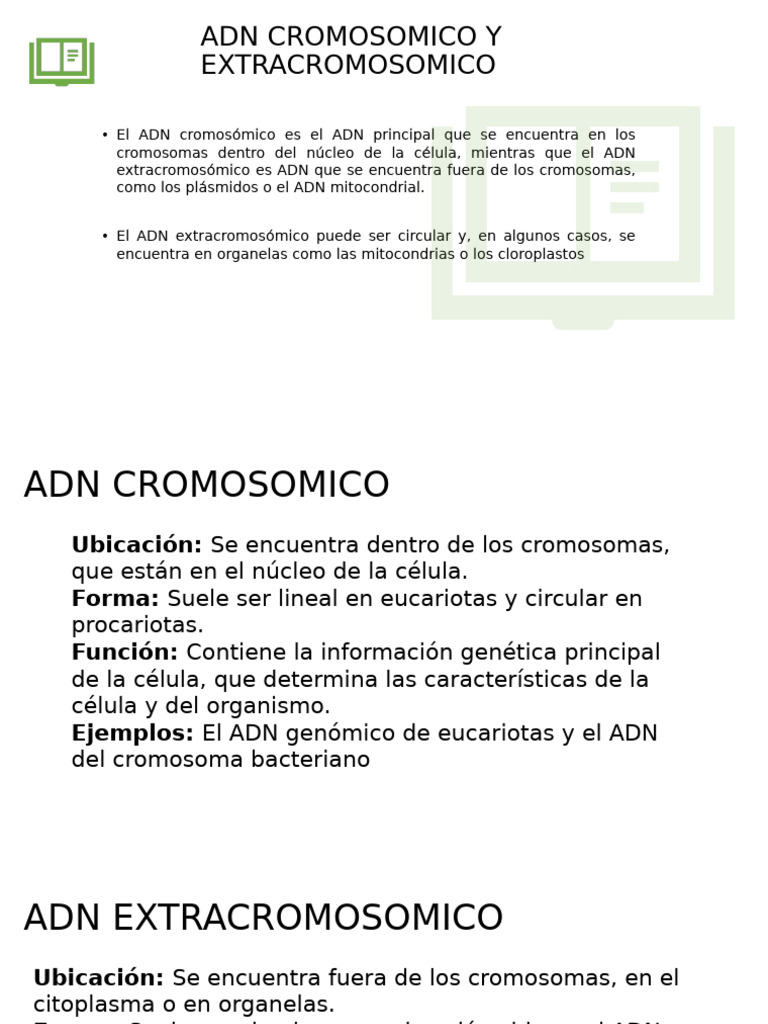 Adn Cromosomico y Extracromosomico | PDF