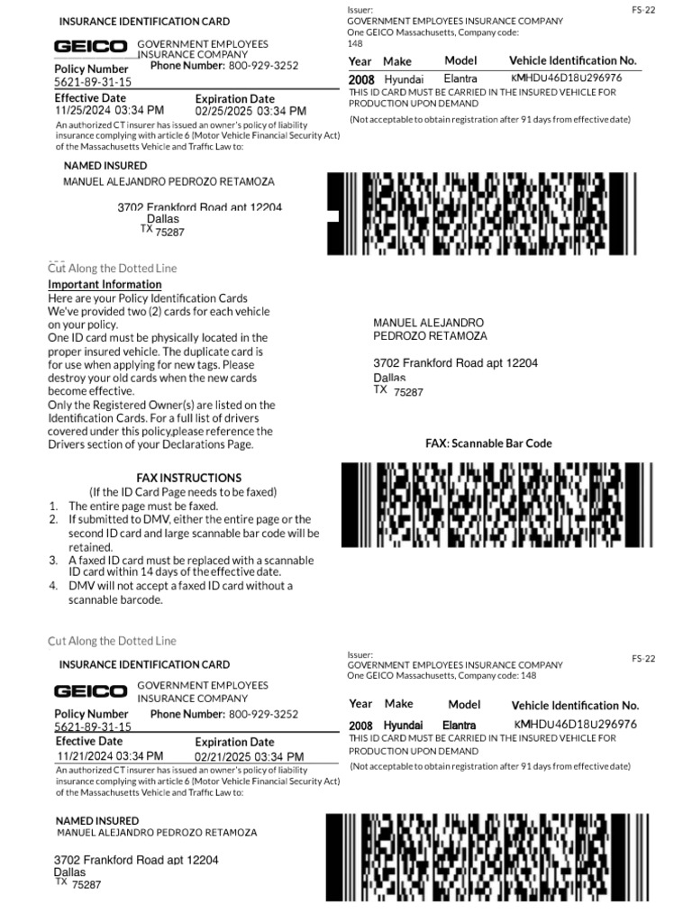 GEICO Insurance Identification Card Details | PDF | Department Of Motor ...