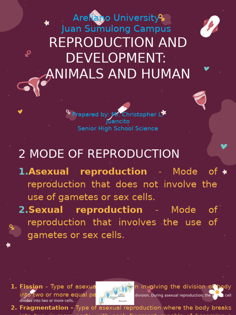 LESSON 1 Introduction To Reproduction | PDF | Testicle | Uterus