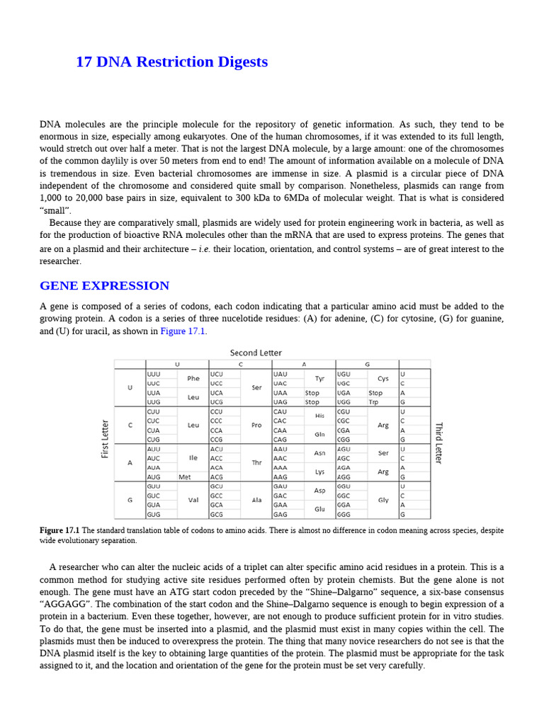 DNA Restriction Digests Explained | PDF | Restriction Enzyme | Agarose ...