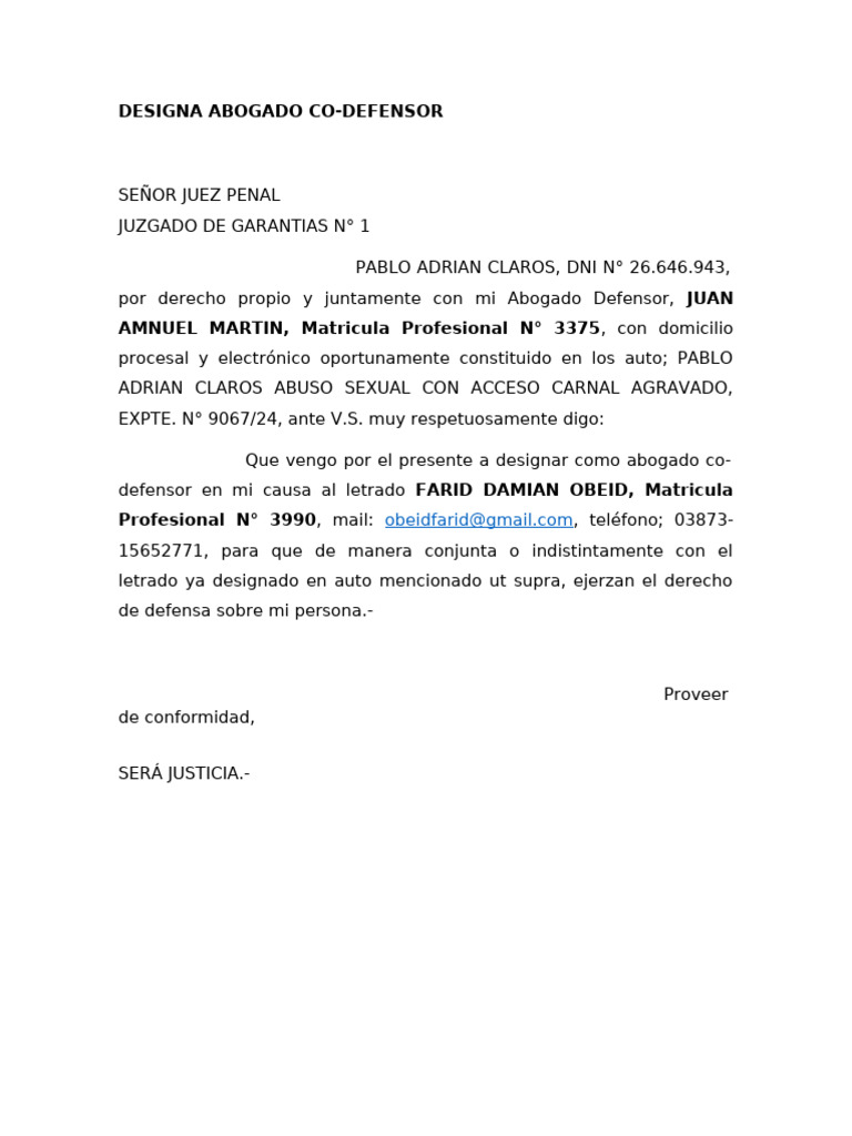Designa Abogado Co Defensor | PDF