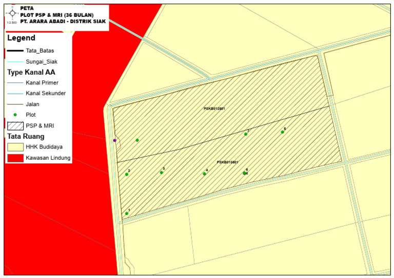 Peta Plot PSP & Mri | PDF