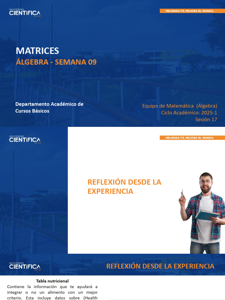 Álgebra Sem 09 Sesión 17 2025-1 | PDF | Determinante | Matriz (Matemáticas)