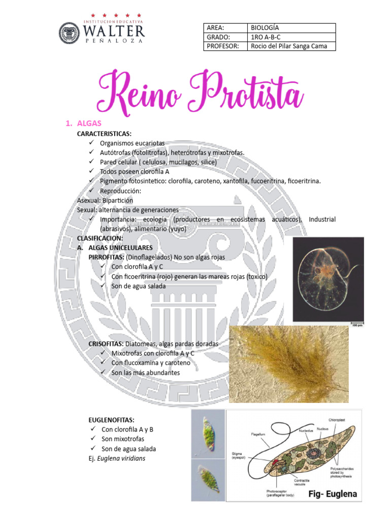 ALGAS | PDF
