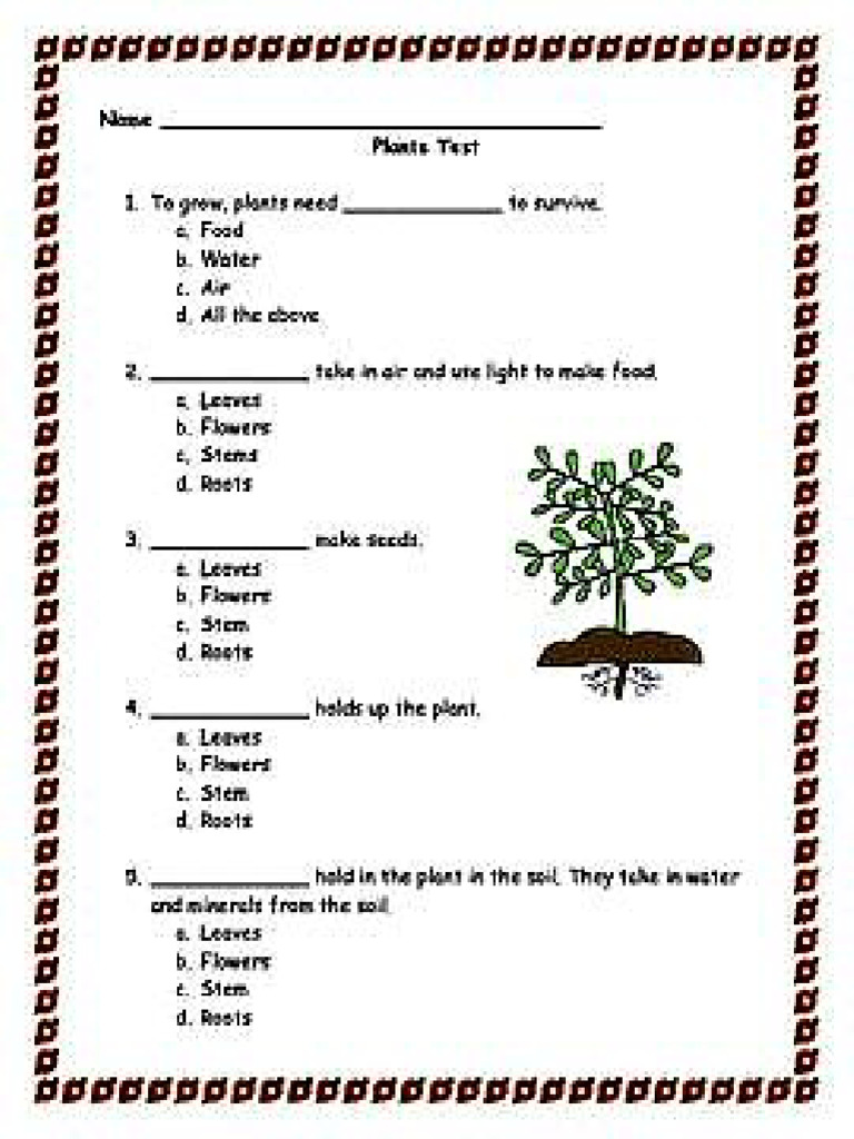Plants Test Enhanced | PDF