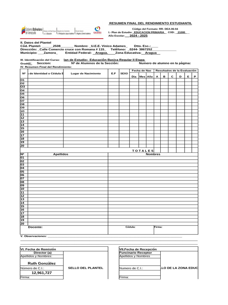 Resumen Final Formato | PDF