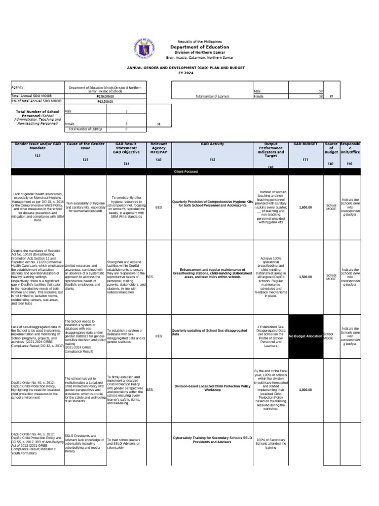 2024 School Gad Plan and Budget For District FP | PDF