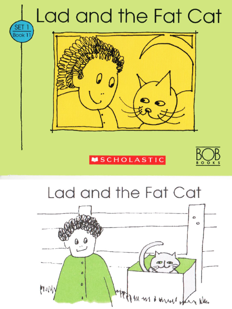 BB Set 1 Book 11 Lad and The Fat Cat Englishare | PDF