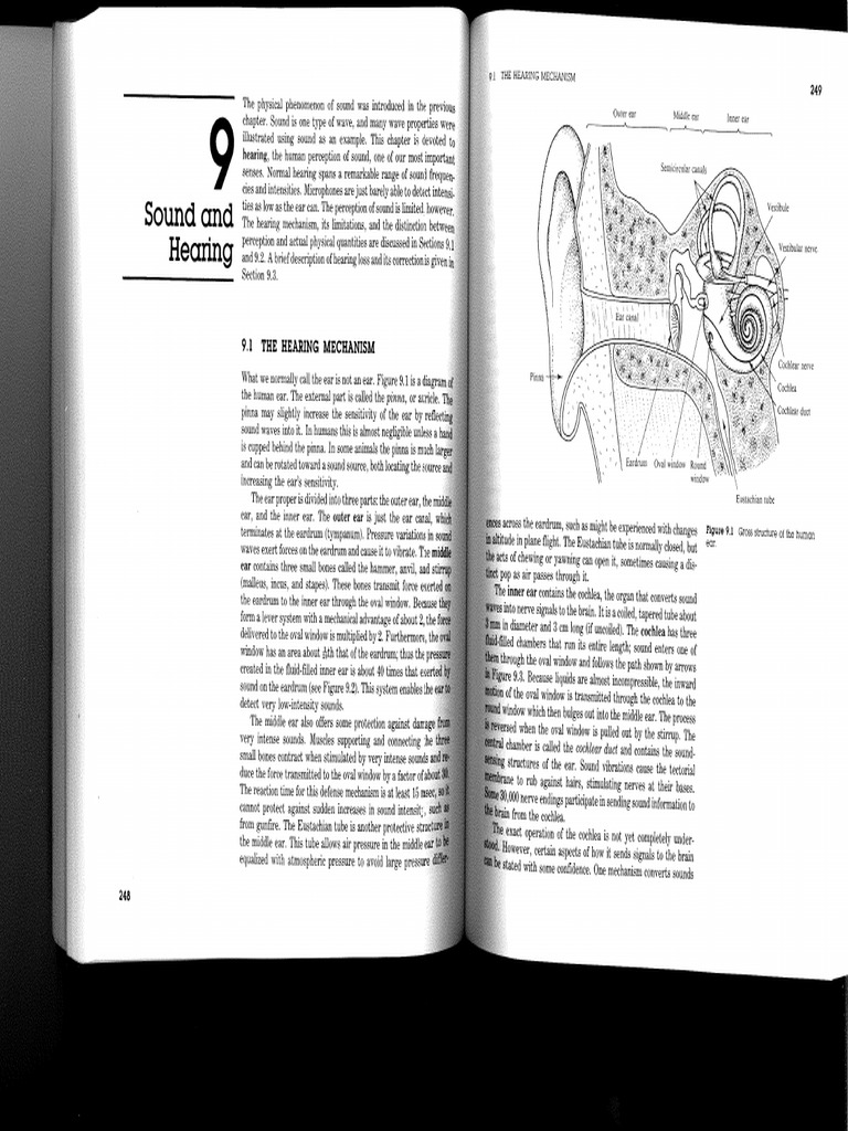 The Hearing Mechanism | PDF