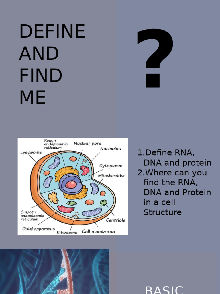 Basic Structure of DNA, RNA and Protein | PDF | Rna | Dna