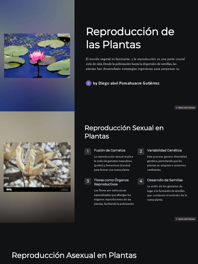 Reproduccion de Las Plantas | PDF | Flores | Reproducción