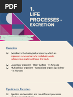 ? Excretion - Grade 11 Life Sciences | PDF