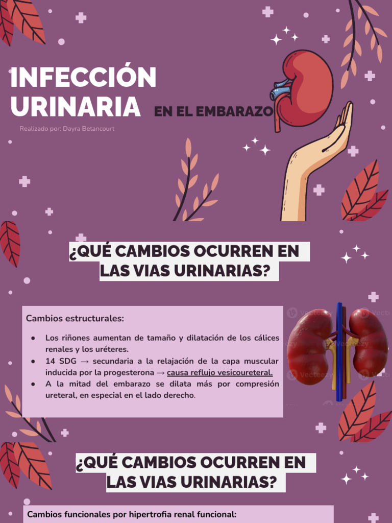 Sepsis Urinaria | PDF | Medicina CLINICA | Sistema urinario