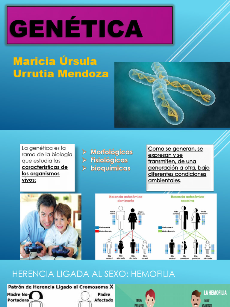 GENÉTICA | PDF | Dominancia (Genética) | Alelo
