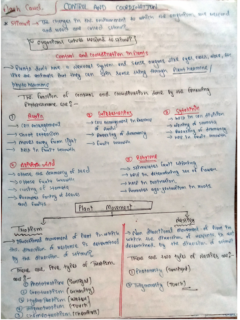 Control and Coordination Notes | PDF