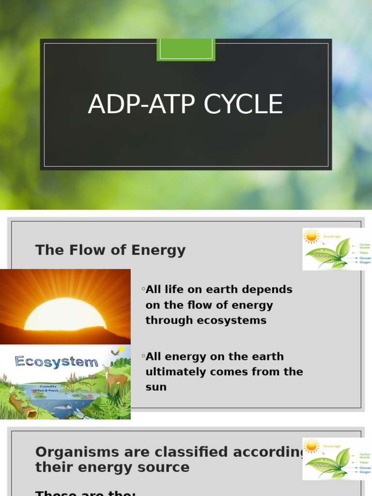 QUARTER 2 - ATP, Photosynthesis and Cellular Respiration | PDF ...