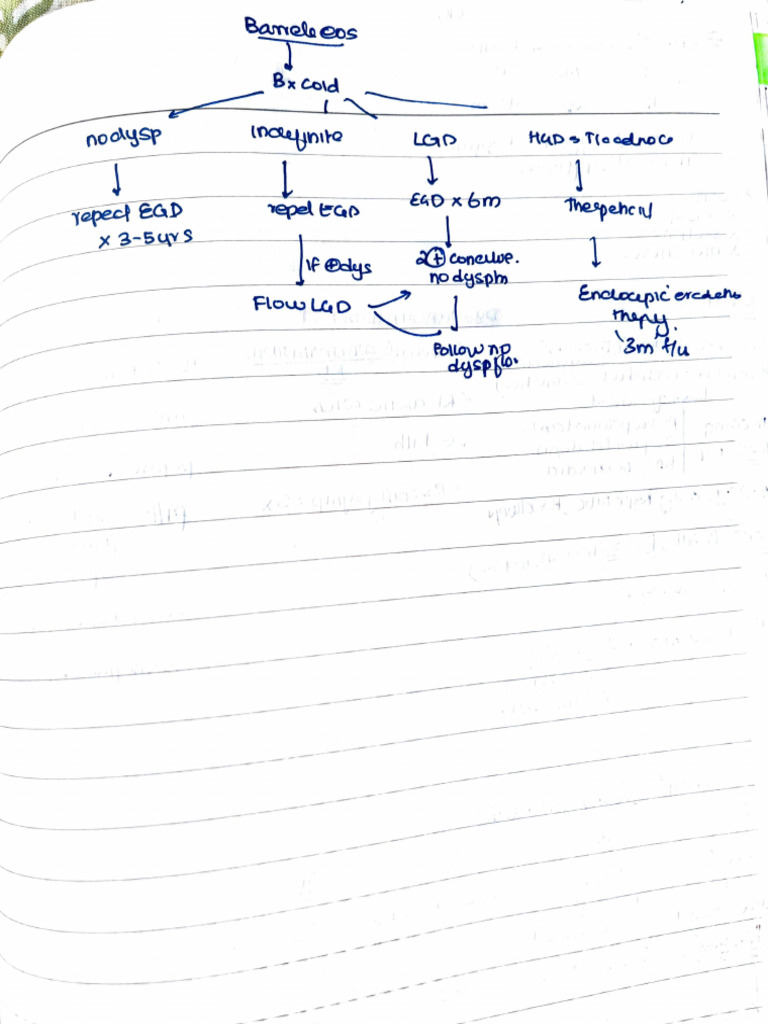 Barrets Esophagus | PDF