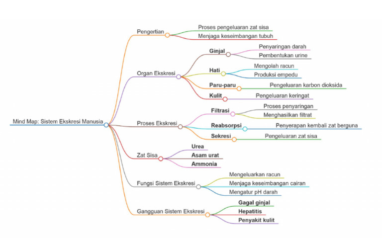 Mind Map | PDF