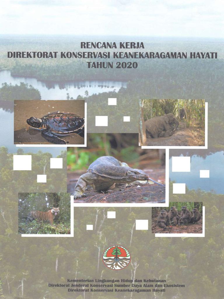 Rencana Kerja Direktorat KKH 2020 | PDF