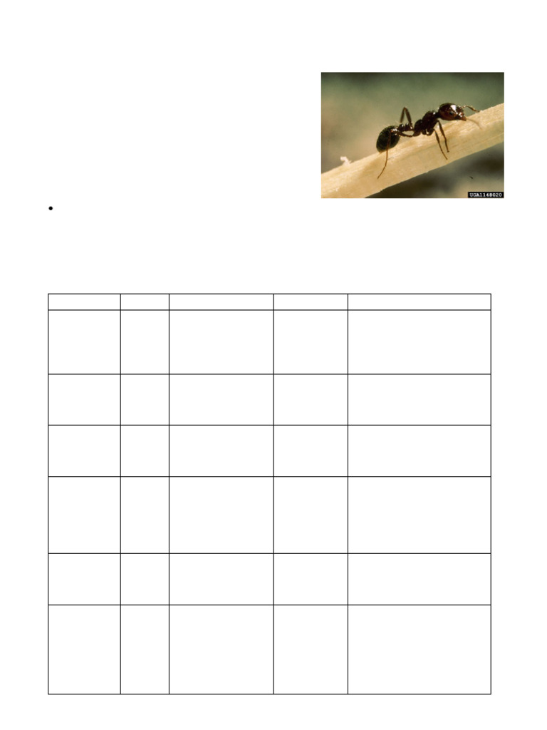 Georgia Invasive Species Fact Sheet | PDF | Invasive Species ...