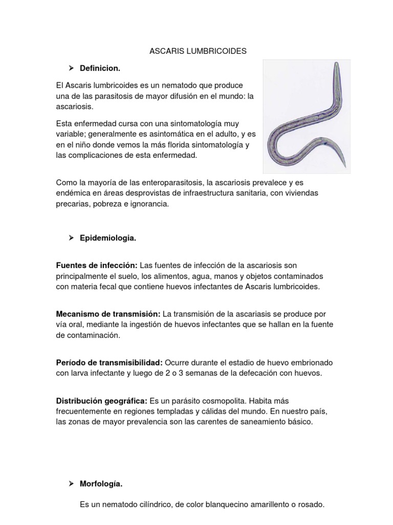 Ascaris Lumbricoides | PDF | Especialidades Medicas | Medicina CLINICA