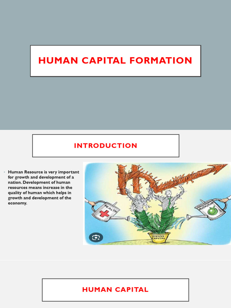 Understanding Human Capital Formation | PDF | Human Capital | Capital ...