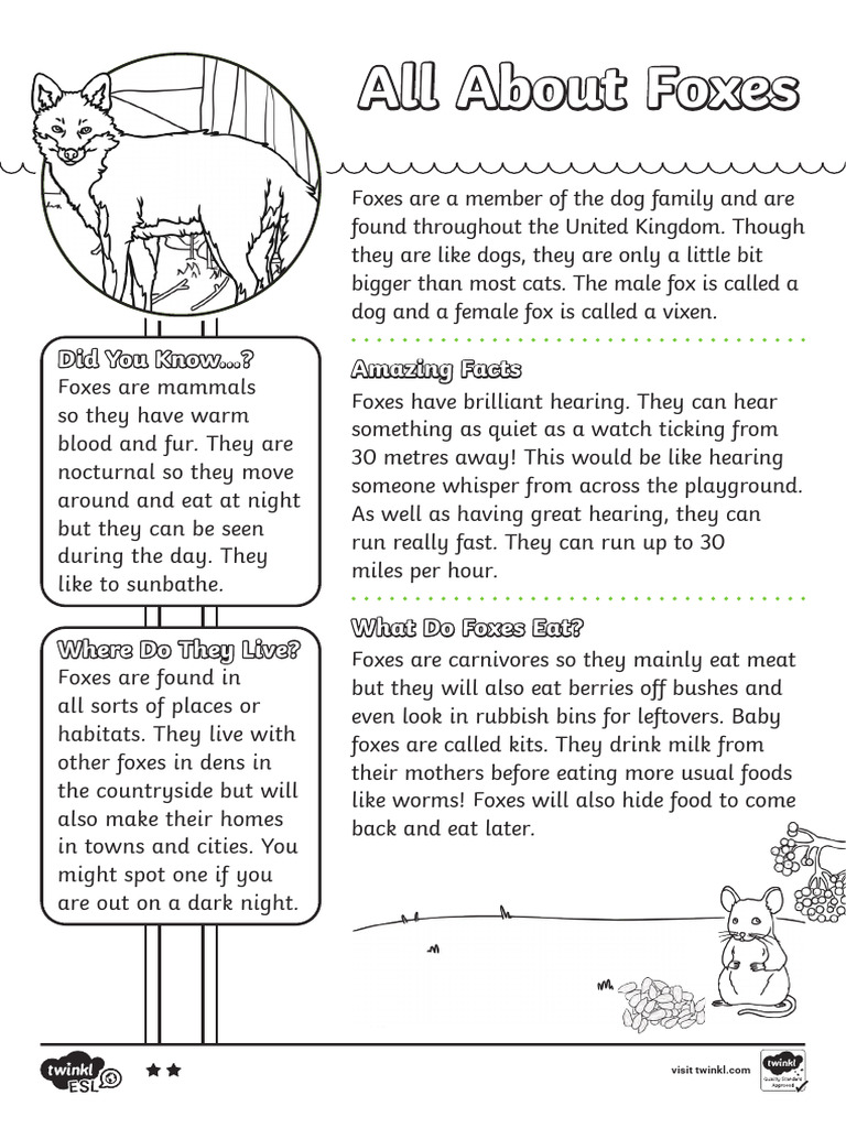 Fox Reading Comprehension | PDF | Fox | Zoology