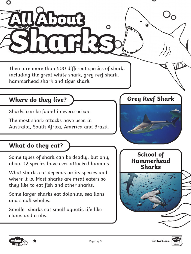 All About Sharks Reading Comprehension | PDF | Sharks | English As A ...