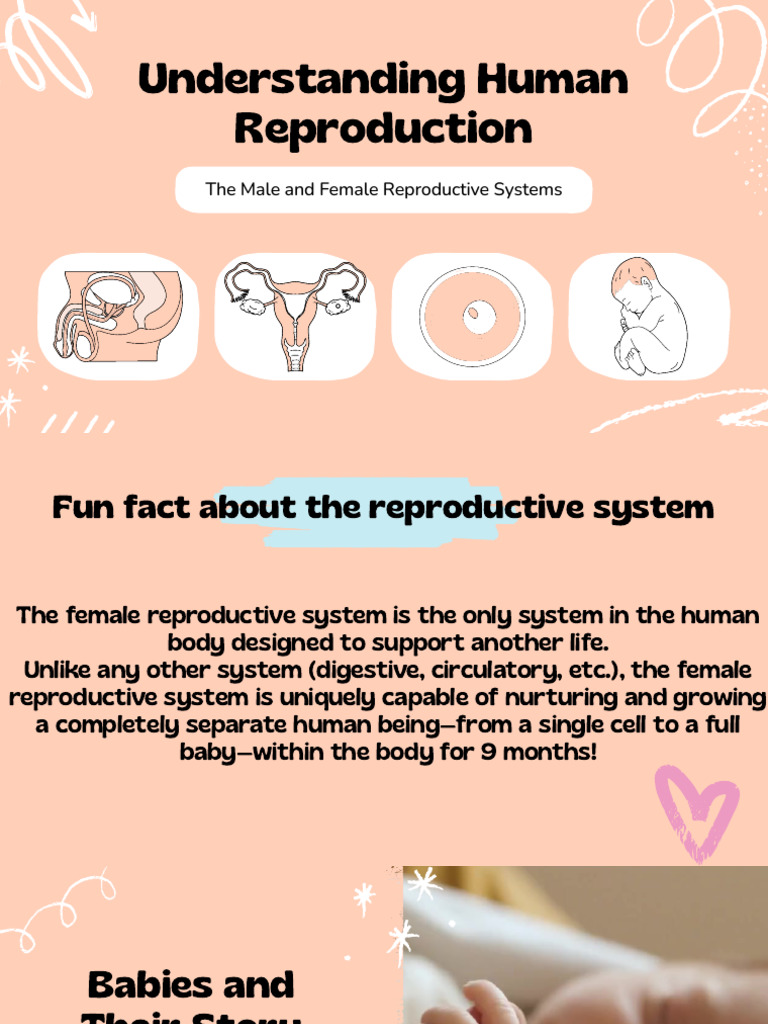 Phôi Thai và Hệ Sinh Sản Người | PDF | Reproductive System | Menstrual ...