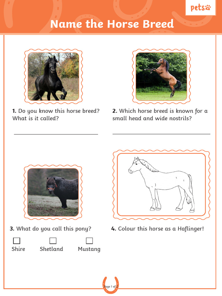 Identify Horse Breeds Worksheet | PDF