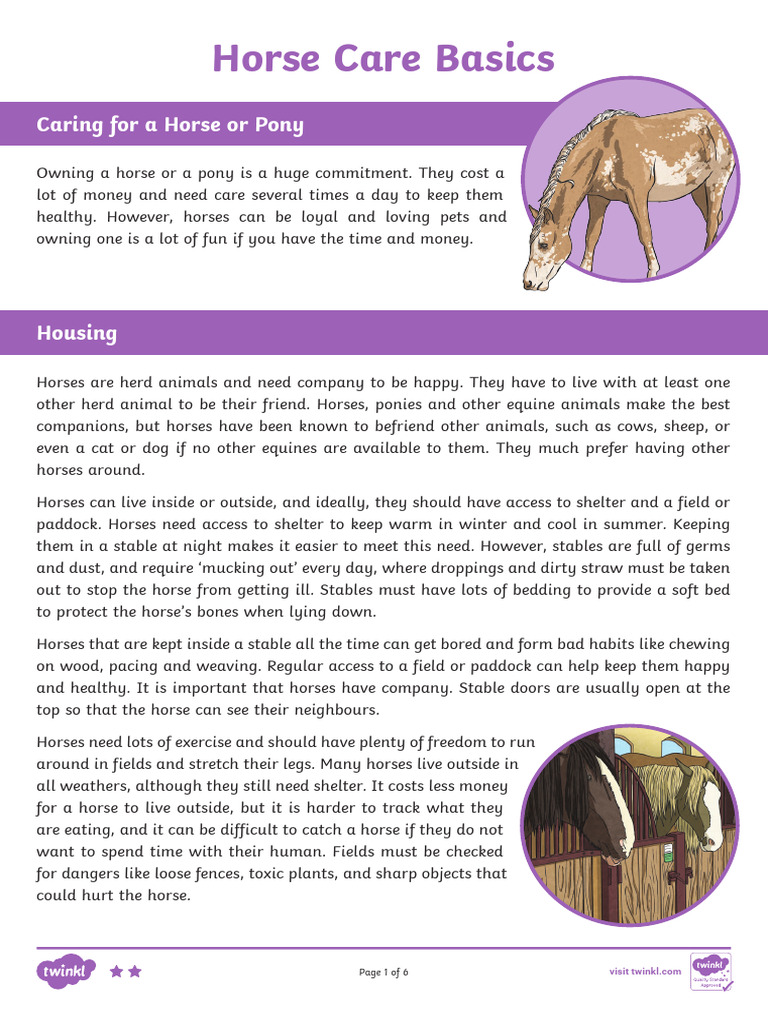 Horse Care Basics Differentiated Reading Comprehension - 2 Star | PDF ...