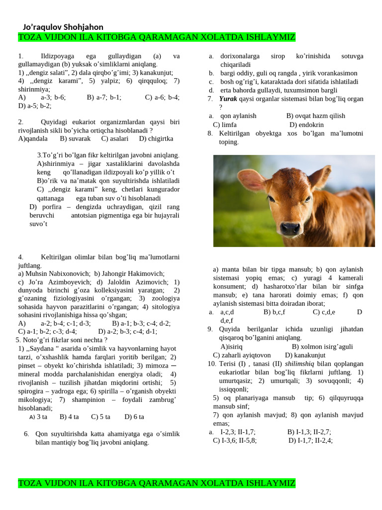 Yakuniy Umumiy 5-Sinf | PDF