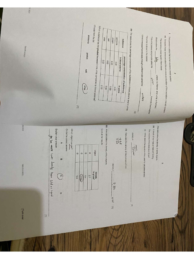 IMG 0707 Compressed | PDF