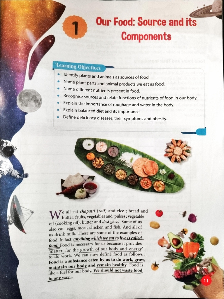 Main Sources of Food: Plants and Animals | PDF | Foods | Fat