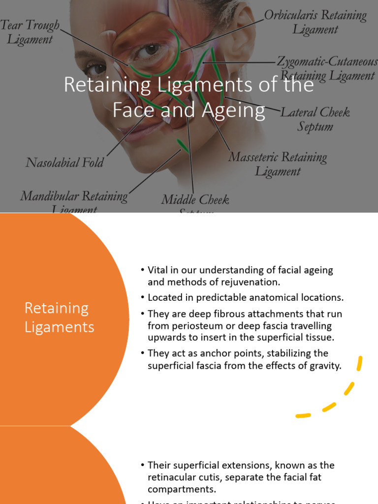 Retaining Ligaments of The Face | PDF | Human Anatomy | Soft Tissue