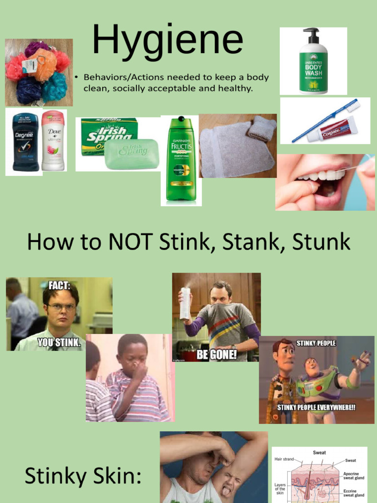 Personal Hygiene for Students | PDF | Perspiration | Hygiene