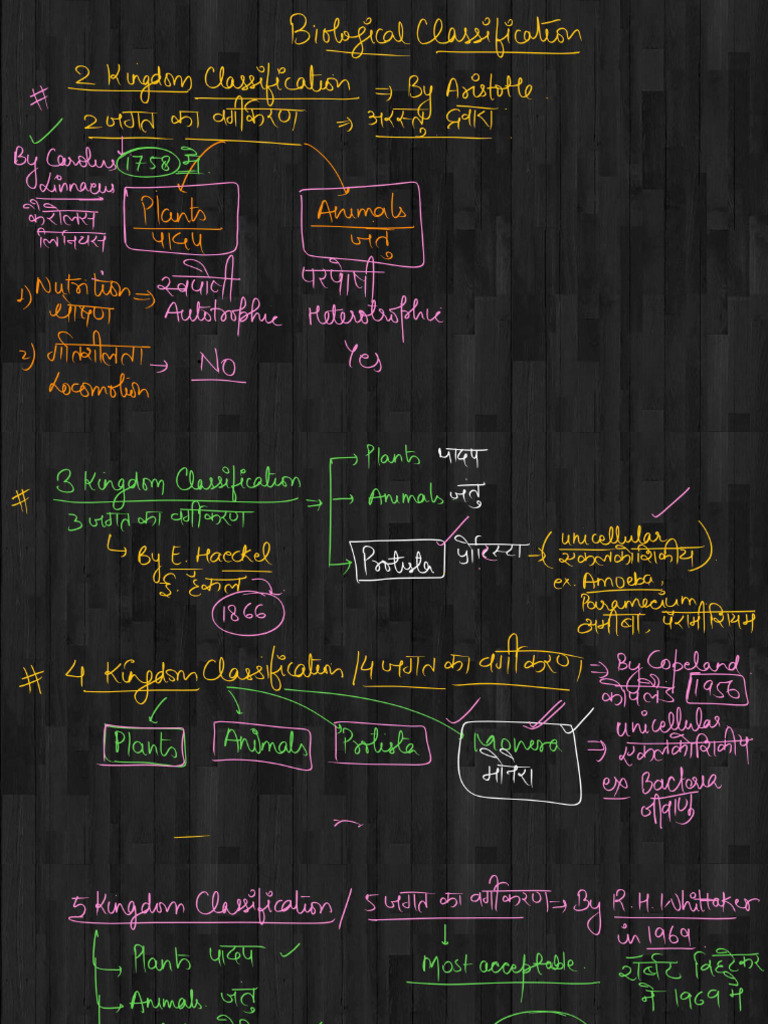 Classification 2 | PDF