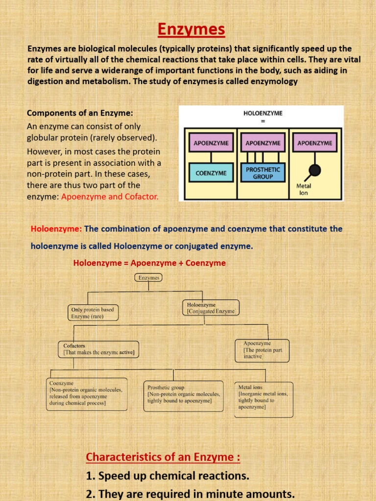 Module 5 Enzyme 1 Final 241107 212052 | PDF | Enzyme | Cofactor ...