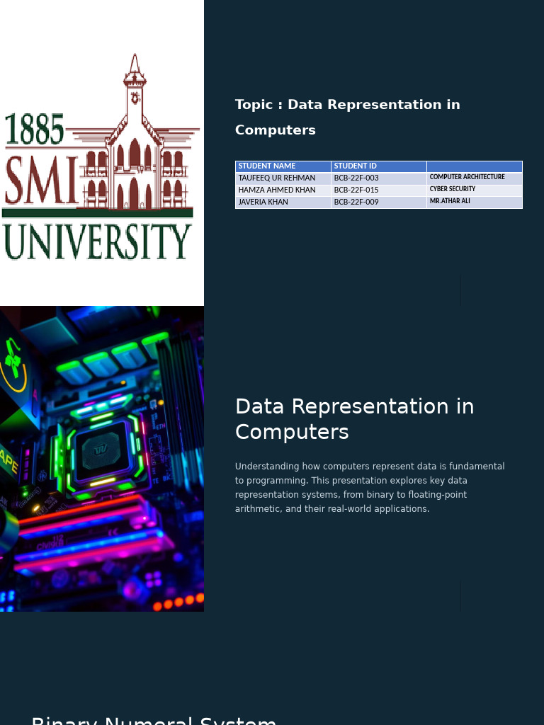 Data Representation in Computers | PDF | Mathematical Notation | Encodings
