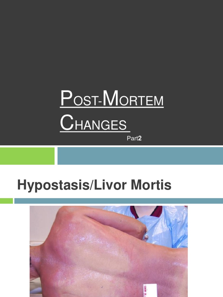 Post-Mortem Hypostasis and Changes | PDF | Medical Specialties | Medicine