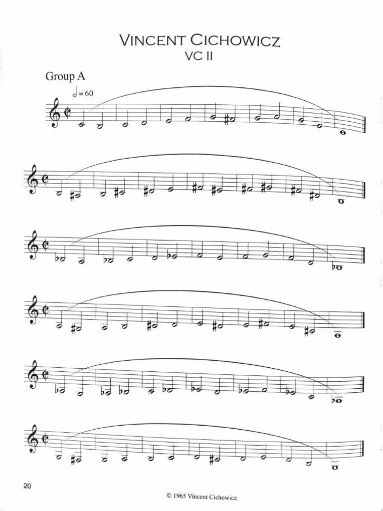 Vincent Cichowicz | PDF