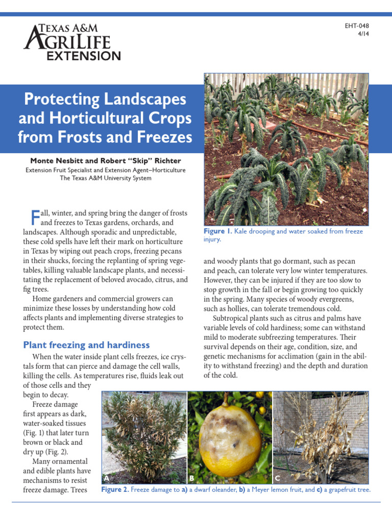 Protecting Plants From Frosts Freezes EHT 048 | PDF | Frost | Humidity