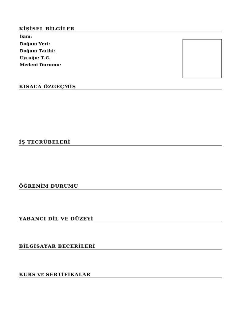 Belediye CV Ornegi Is Basvurusu | PDF