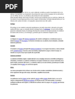 Visceras del Cuerpo Humano: Anatomía y Función | PDF | Sistema ...