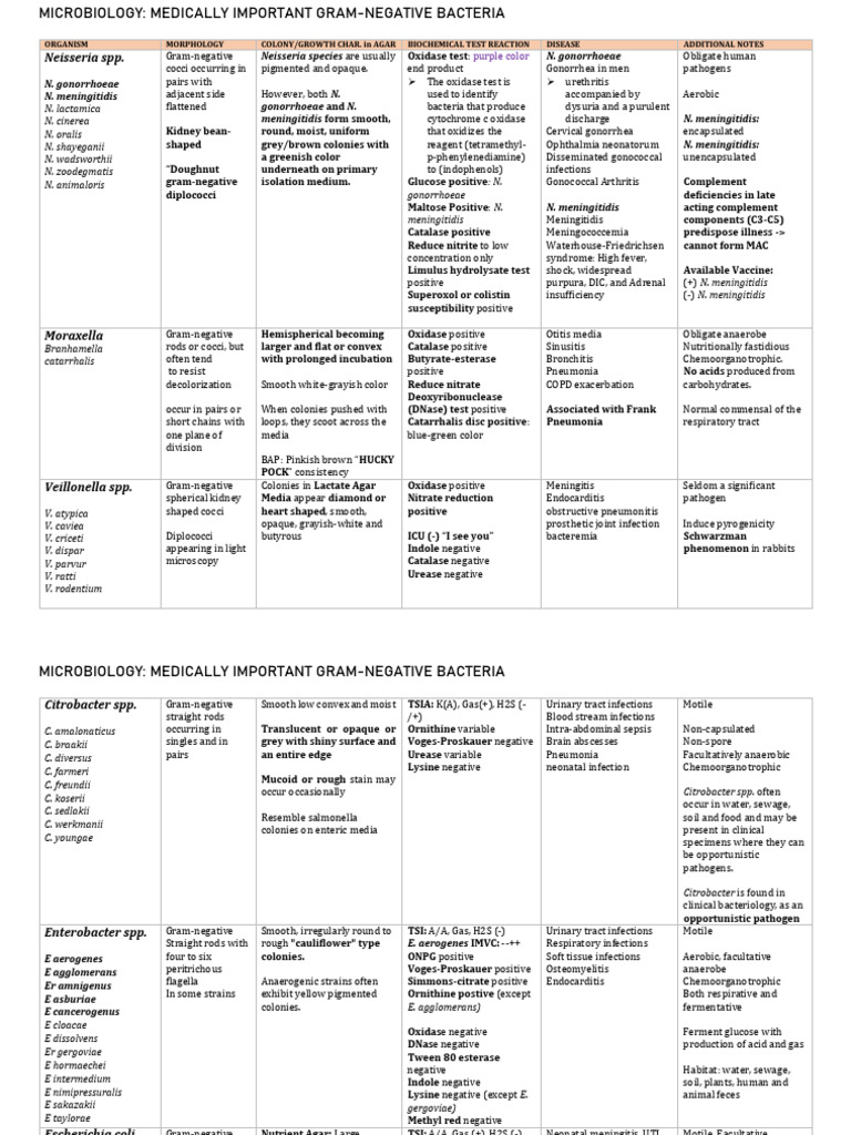 Key Medically Important Gram-Negative Bacteria | PDF | Salmonella ...