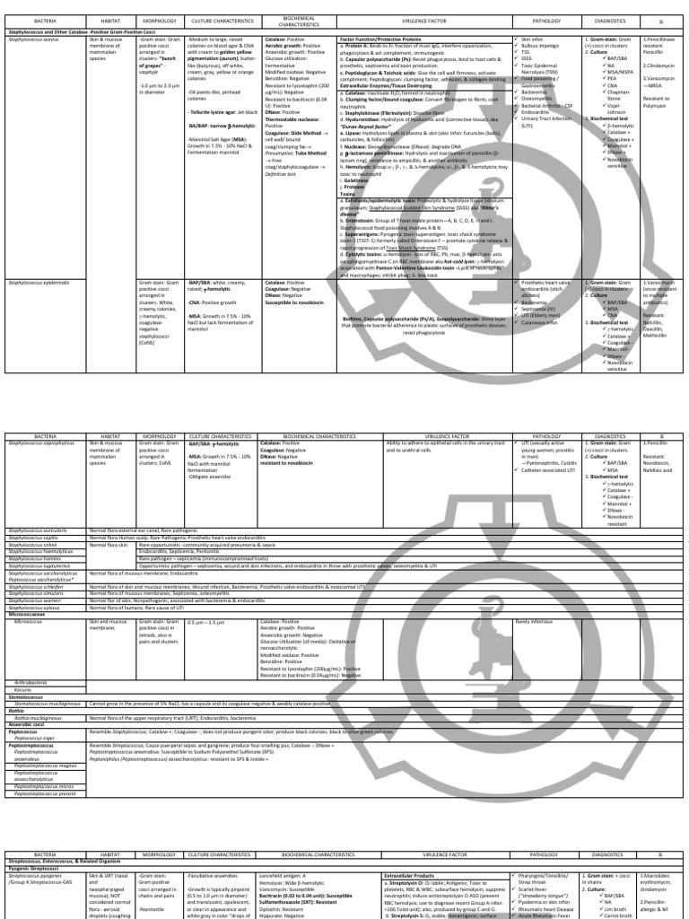Bacteriology Supertable Unclean | PDF | Streptococcus | Staphylococcus
