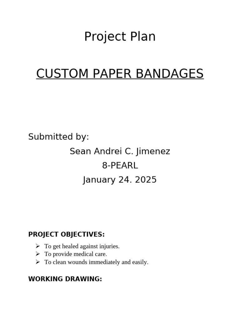 Project Plan 1 | PDF