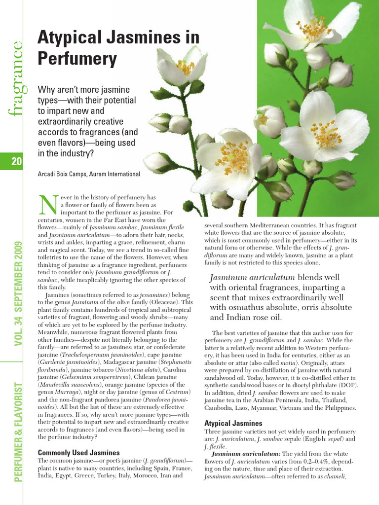 Atypical Jasmines in Perfumery | PDF | Perfume