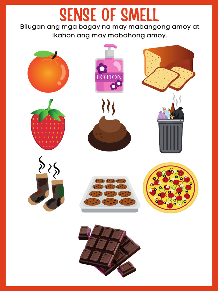 Science Activity - Sense of Smell Worksheet For Kids | PDF